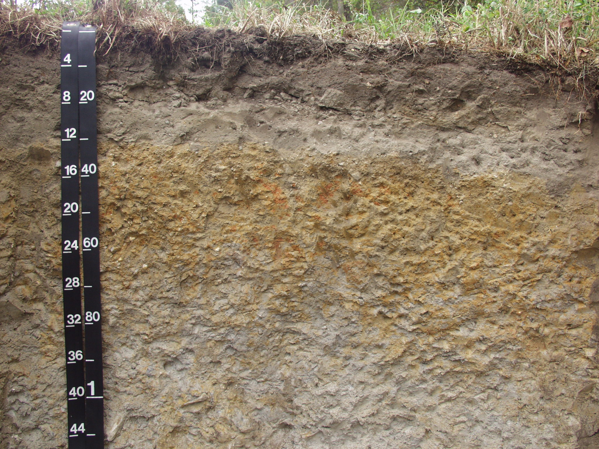 4-H Land Judging | Lincoln County